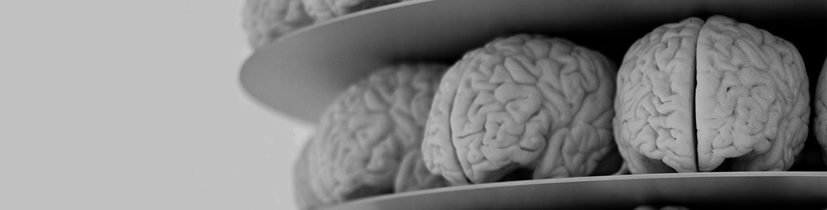 Consuming Azure Machine Learning in ASP.NET Core - Telerik Blogs Consuming Azure Machine Learning in ASP.NET Core - Telerik Blogs