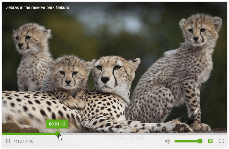Media Player Asp Mvc Controls Telerik Ui For Asp