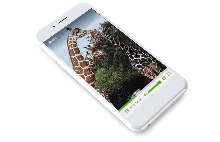 Media Player - ASP.NET MVC Controls | Telerik UI for ASP.NET MVC