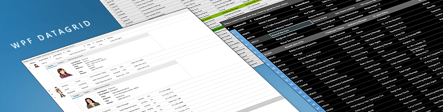 Telerik Wpf Datagrid Deep Dive