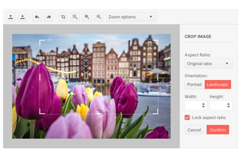 Image Editor Aspnet Mvc Controls Telerik Ui For Aspnet Mvc