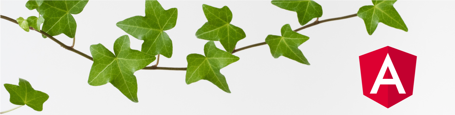 First Look Angular Ivy