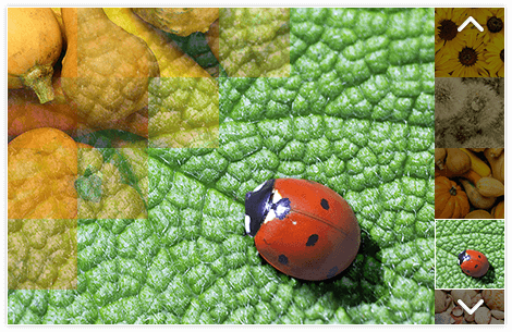 ASP.NET AJAX Image Gallery - RadControls for Web Forms | Telerik UI for ...