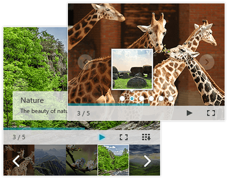 ASP.NET AJAX Image Gallery - RadControls for Web Forms | Telerik UI for ...