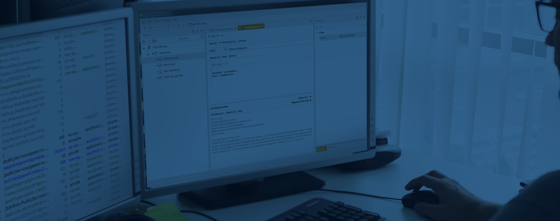 Telerik API Testing by Progress