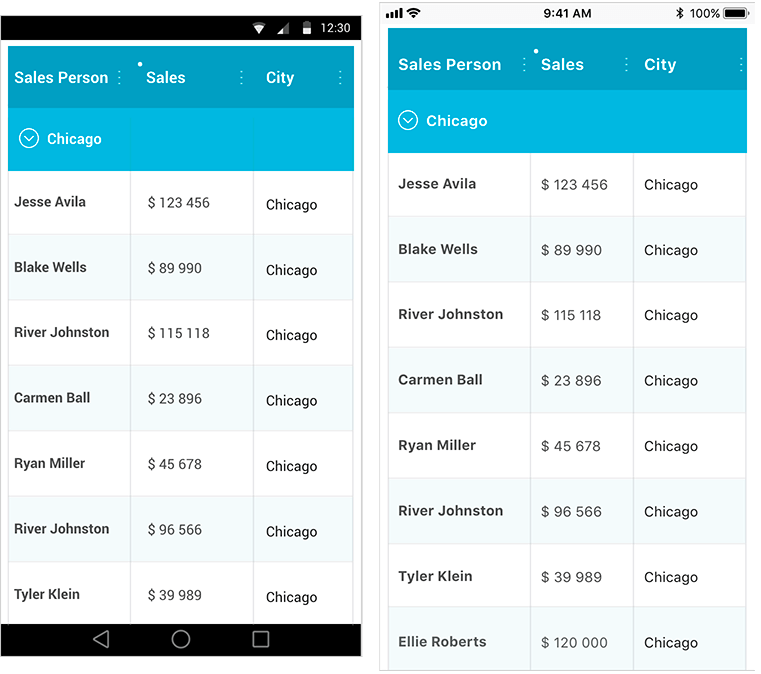 Xamarin Forms Datagrid Control Progress Telerik Ui For Xamarin