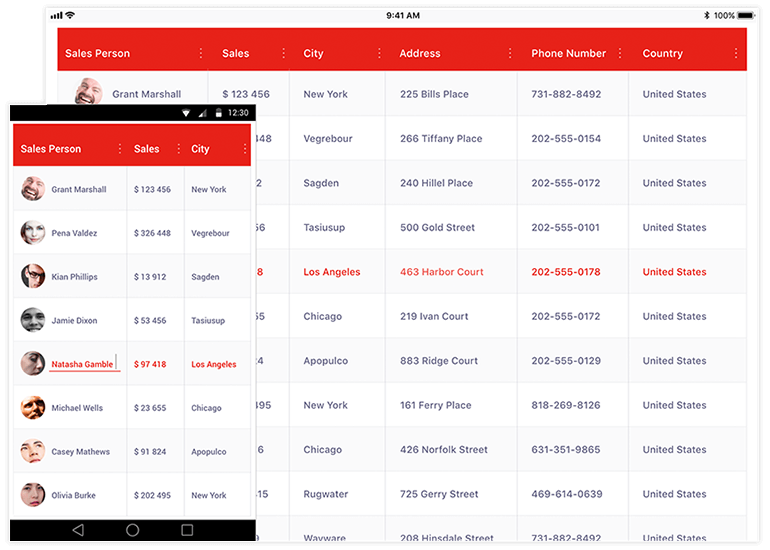Xamarin Forms Datagrid Control Progress Telerik Ui For Xamarin