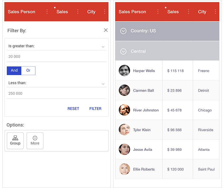 Xamarin Forms Datagrid Control Telerik Ui For Xamarin