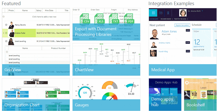 Panorama Control Telerik Ui For Winforms Components Telerik