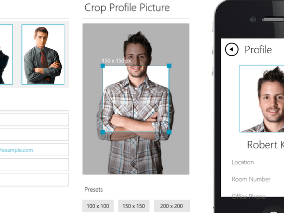 Wpf Imageeditor Control Telerik Ui For Wpf