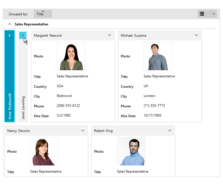 WPF CardView Control | Telerik UI for WPF WPF CardView Control | Telerik UI for WPF