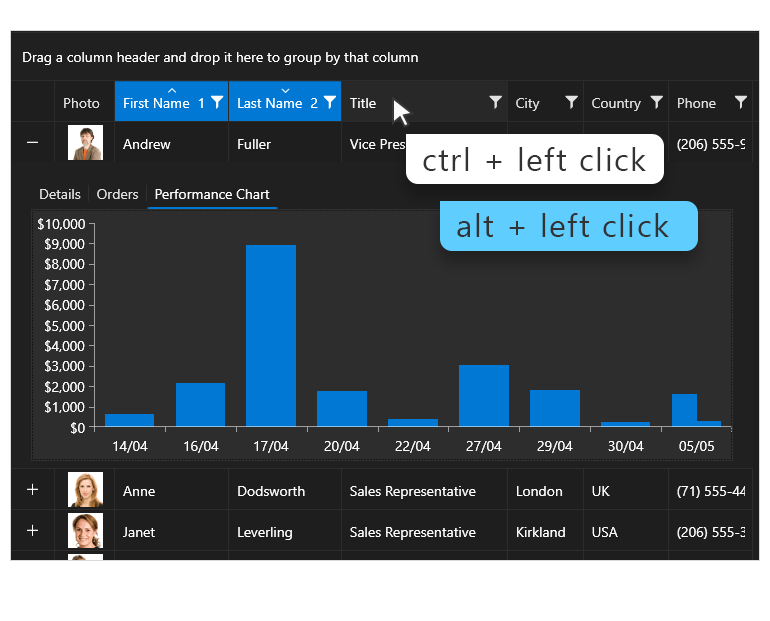 Wpf Datagrid Telerik Ui For Wpf